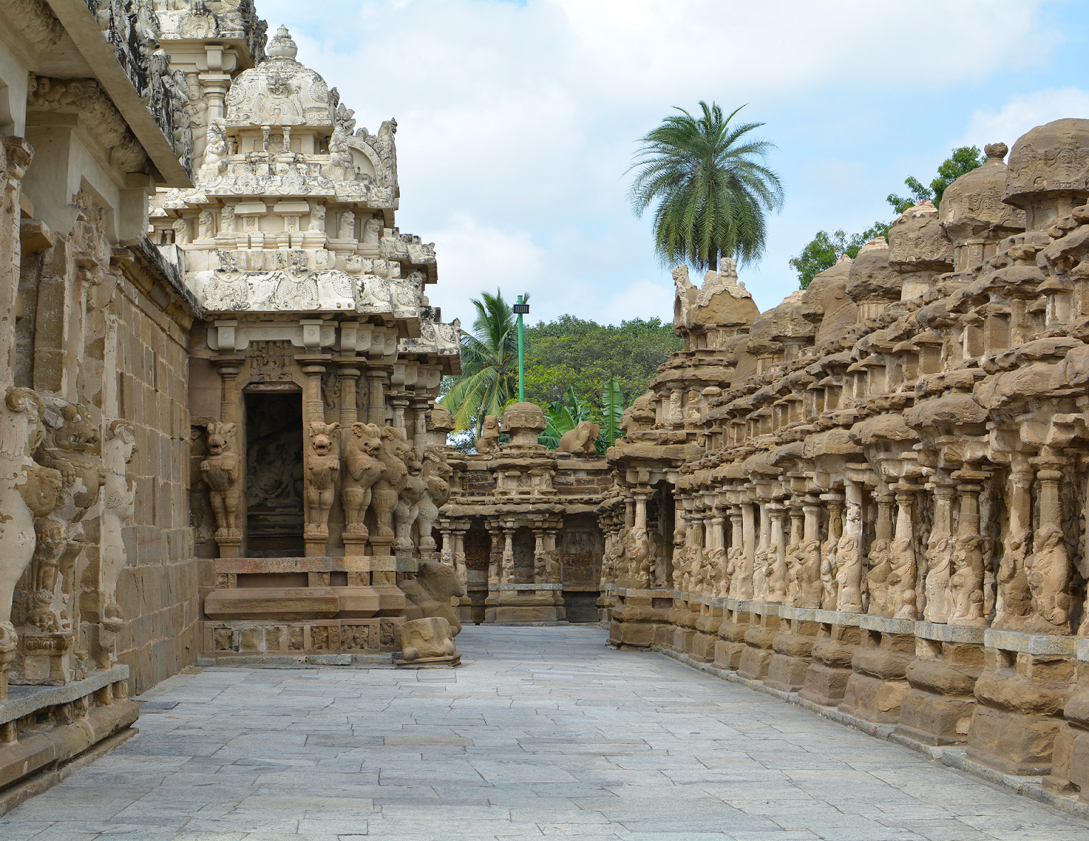 What We Do – Global Tamil Cultural Organization